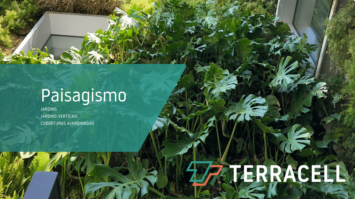 Paisagismo - Terracell